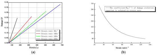 Dynamic Mechanical Properties and Damage Evolution Characteristics of ...