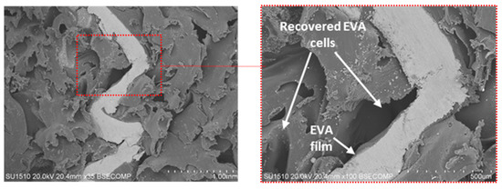 The Out-Of-Plane Compression Behavior of In Situ Ethylene Vinyl Acetate ...