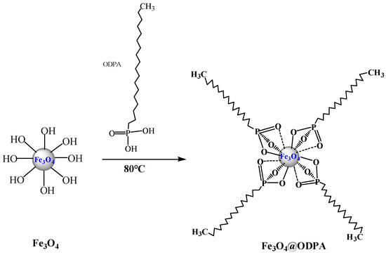 Preparation of Hydrophobic Octadecylphosphonic Acid-Coated Magnetite ...