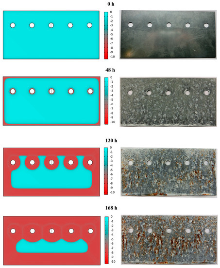 Simulation of Corrosion Phenomena in Automotive Components: A Case Study