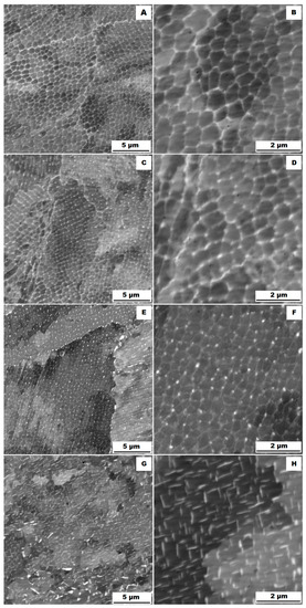 Comparison of the Structure, Mechanical Properties and Effect of Heat ...
