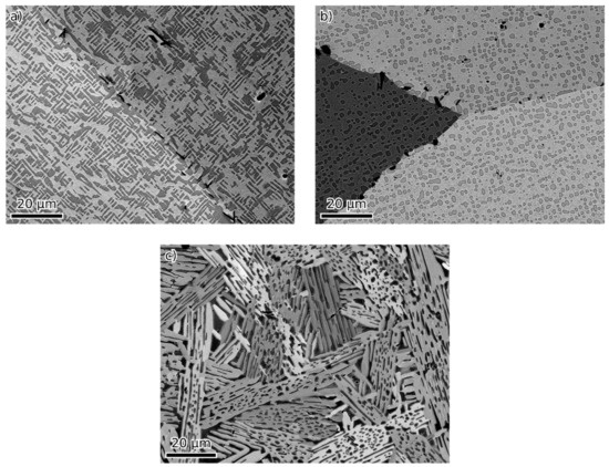 Structure of Complex Concentrated Alloys Derived from Iron Aluminide Fe3Al