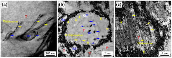Microstructure Characteristics, Mechanical Properties and Strain ...