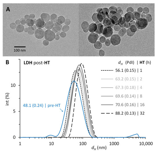 Assessing the Adjuvant Effect of Layered Double Hydroxides (LDH) on ...
