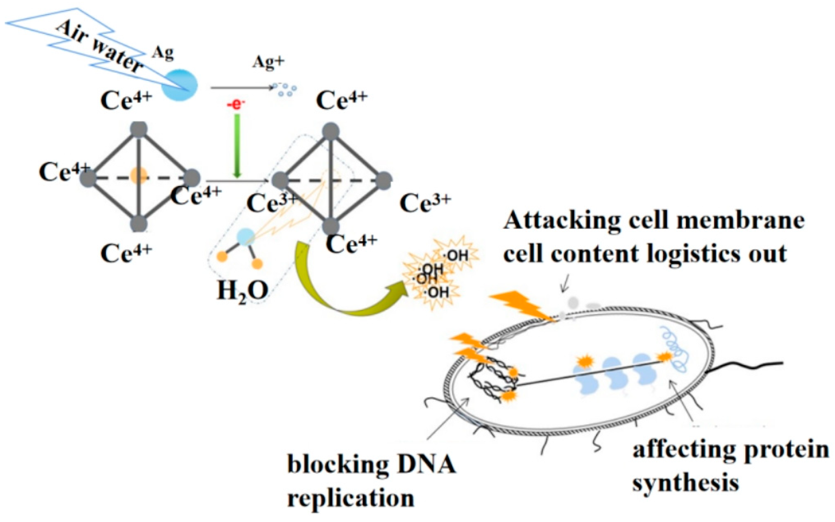 Preparation and Characterization of an Antibrowning Nanosized Ag-CeO2 ...