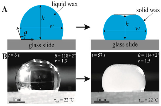 Apple-like Shape of Freezing Paraffin Wax Droplets and Its Origin