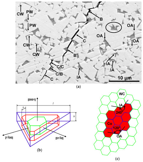 Topology of WC/Co Interfaces in Cemented Carbides