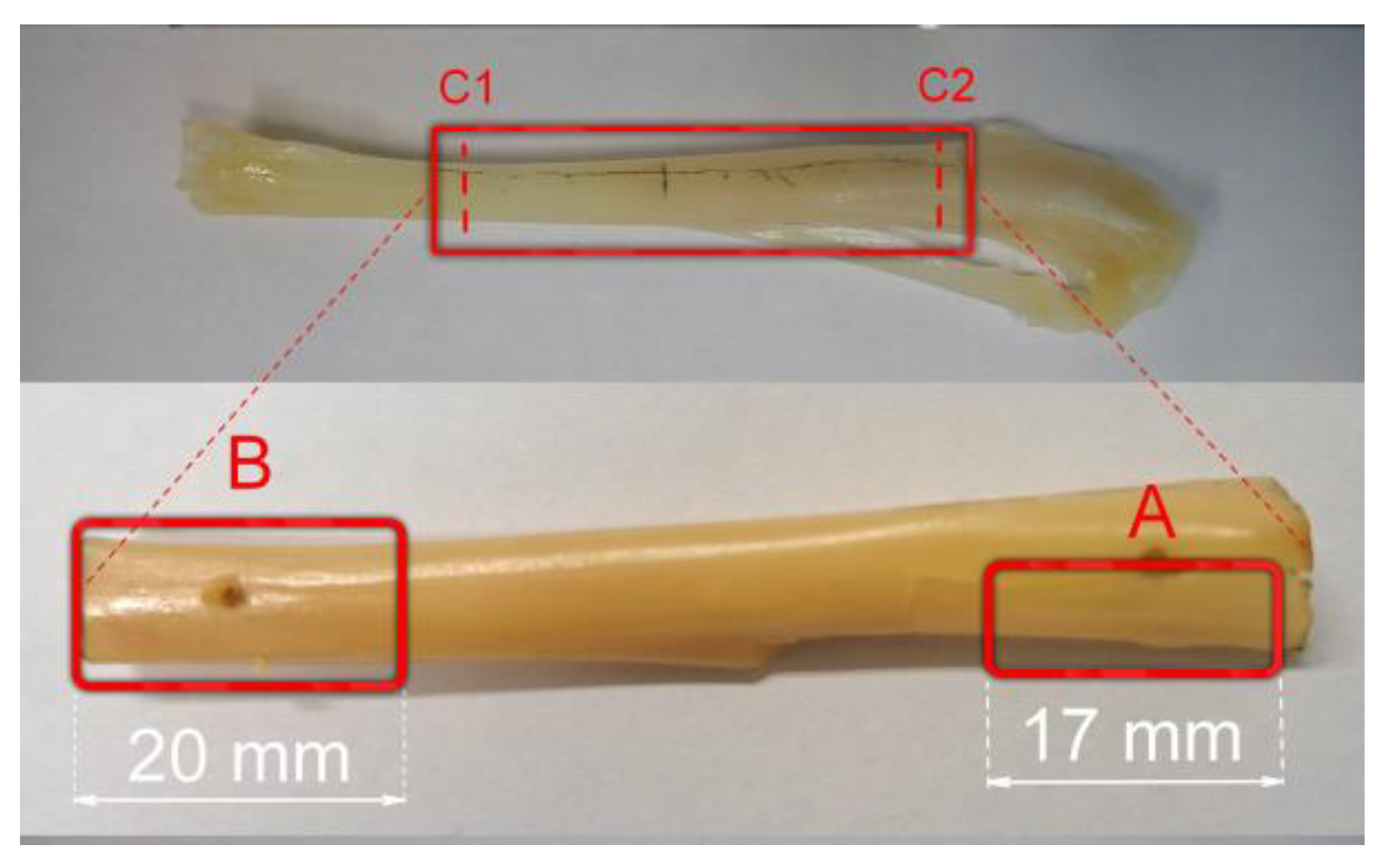 Materials | Free Full-Text | NiTi Shape Memory Clamps with Modified ...