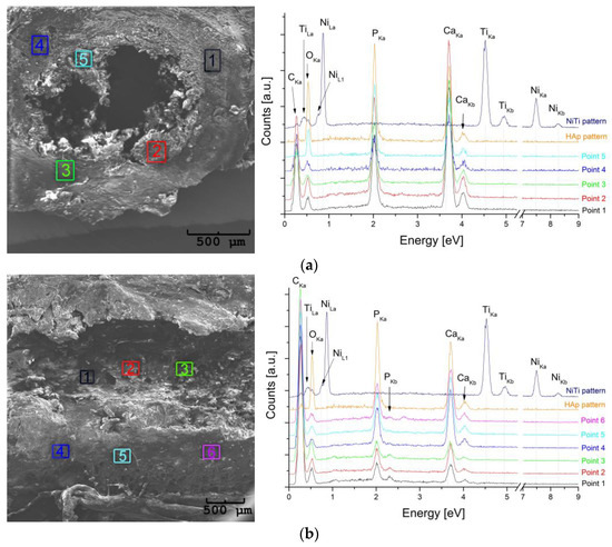 Materials | Free Full-Text | NiTi Shape Memory Clamps with Modified ...