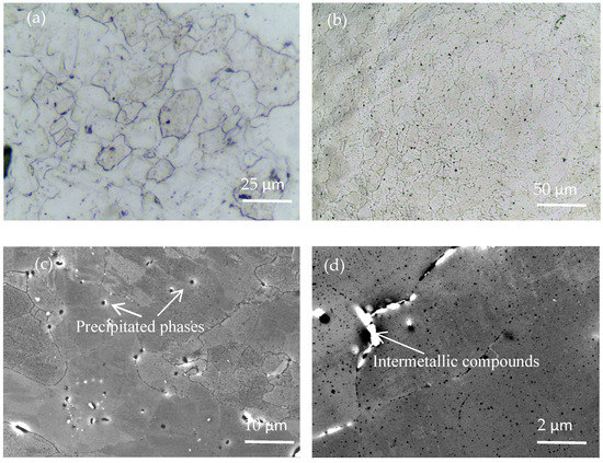 Study on Microstructure Evolution Mechanism of Gradient Structure Surface of AA7075 Aluminum ...