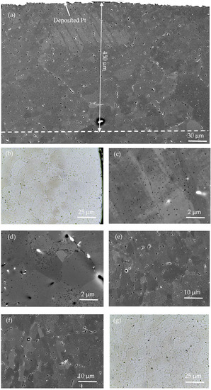 Study on Microstructure Evolution Mechanism of Gradient Structure Surface of AA7075 Aluminum ...