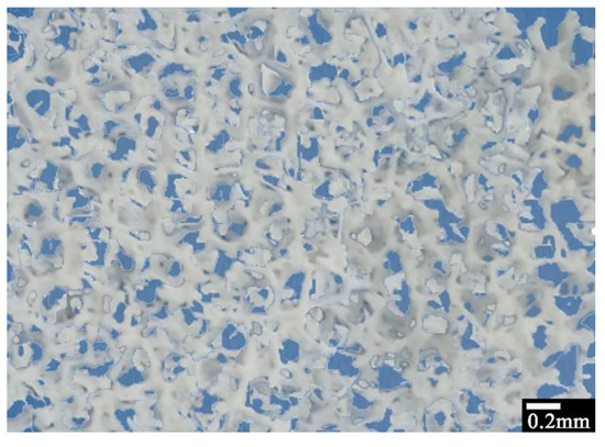 Three-Dimensional-Printed Photocatalytic Sponges Decorated with Mn ...