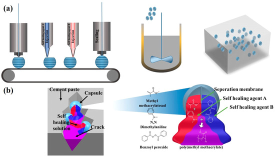 Development of 3D-Printed Self-Healing Capsules with a Separate ...