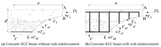Experimental Study of the Shear Performance of Combined Concrete–ECC Beams without Web Reinforcement