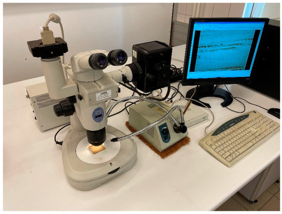 Comparison of Wood-Based Biocomposites with Polylactic Acid (PLA ...