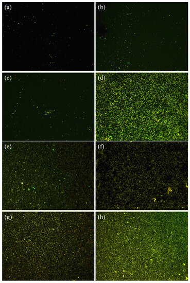 Enhancing the Hydrophobicity and Antibacterial Properties of SiCN ...