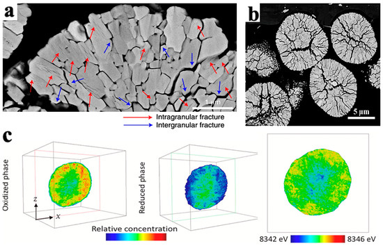 Lithium Iron Phosphate and Layered Transition Metal Oxide Cathode for ...