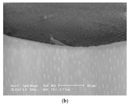 Materials | Free Full-Text | Comparative Study on Interface Fracture of ...