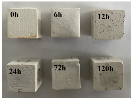 Study on the Deterioration Mechanism of Magnesium Oxychloride Cement ...