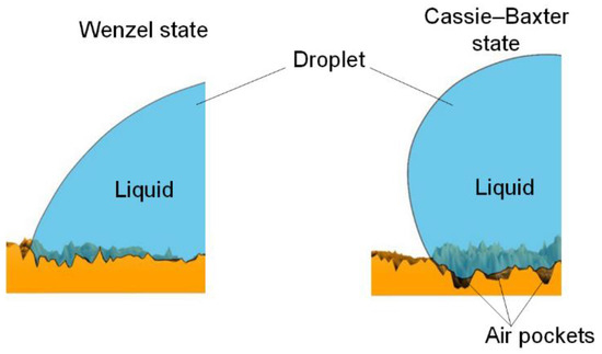 Hydrophilic and Hydrophobic Surfaces: Features of Interaction with ...
