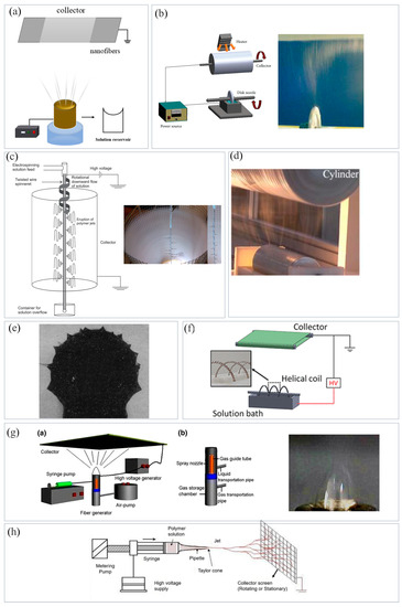 Electrospun Nanofibers for Functional Food Packaging Application