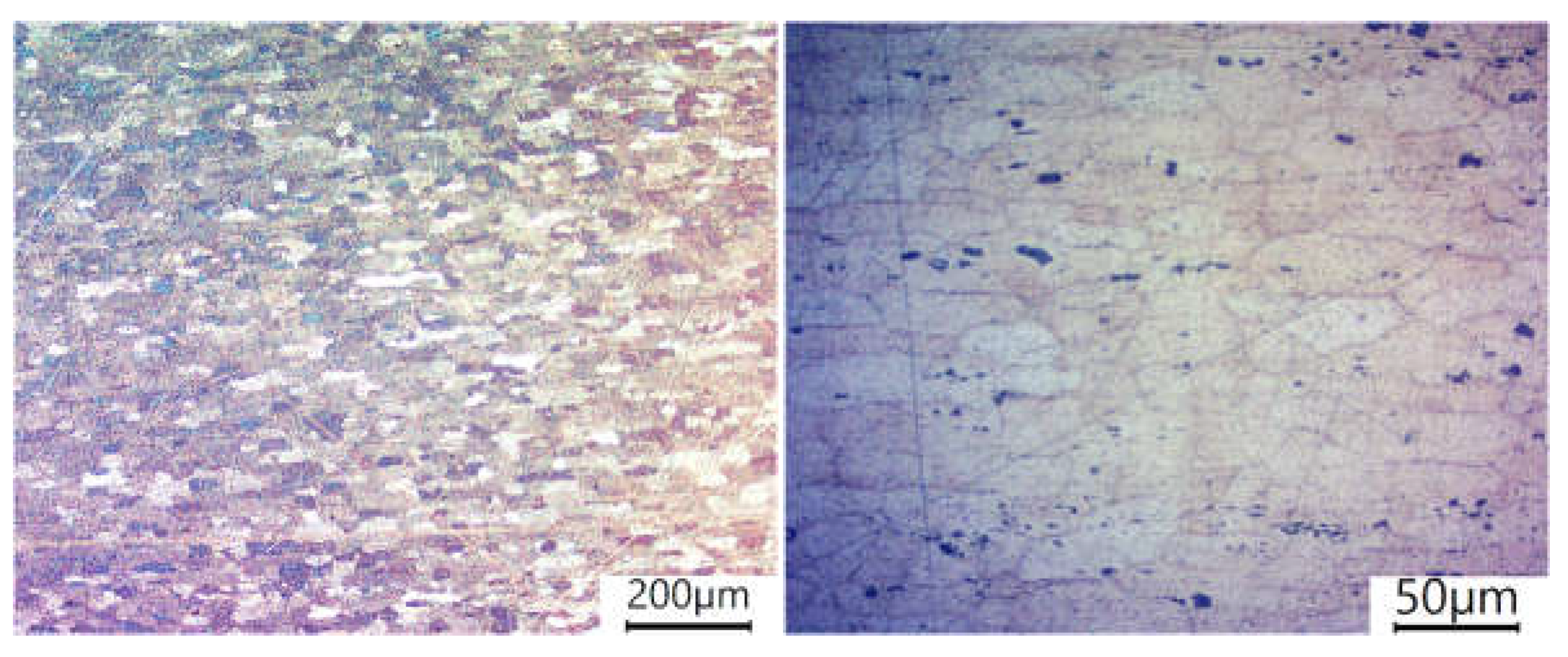 Mechanical Properties and Microstructure of Dissimilar S355/AA6061-T6 ...
