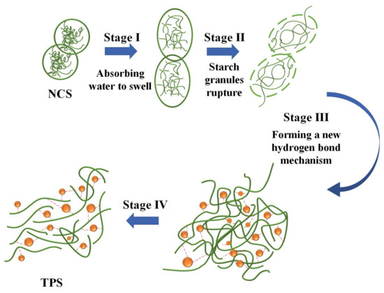 Enhancing Starch−Based Packaging Materials: Optimization of ...