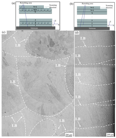 Effect of Grain Orientation on Microstructure and Mechanical Properties of FeCoCrNi High-Entropy ...