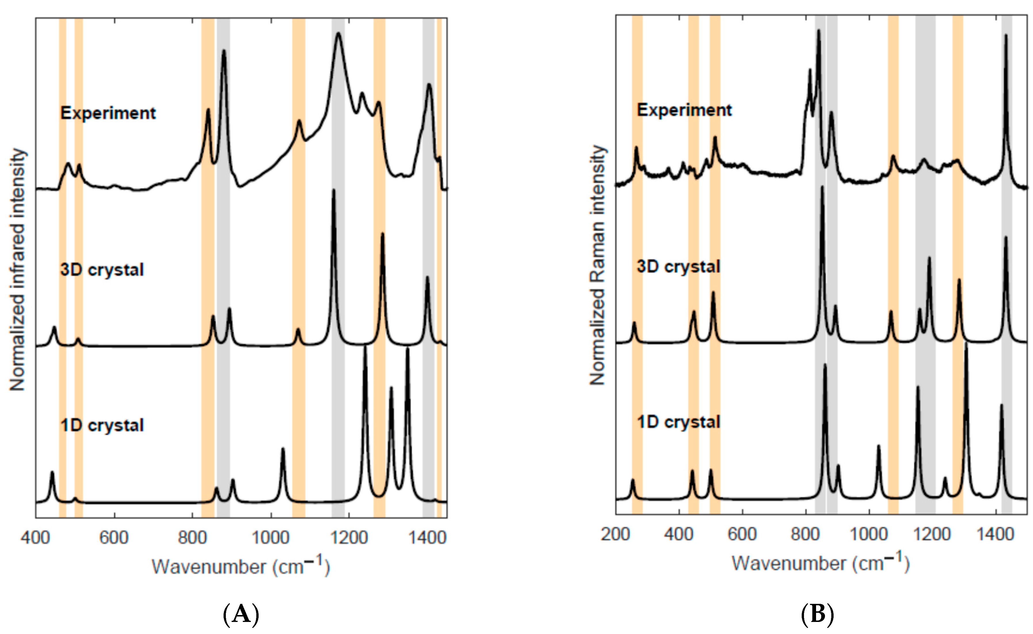 Molecular Mechanism of the Piezoelectric Response in the β-Phase PVDF ...