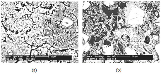 Effect of an Early-Age Exposure on the Degradation Mechanisms of Cement ...