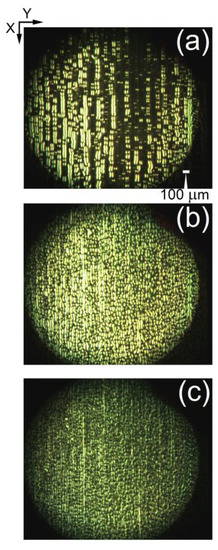 Control of Coherent Light through Microperiodic Director Modulation in ...