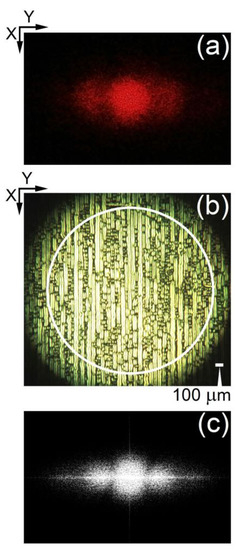 Control of Coherent Light through Microperiodic Director Modulation in ...
