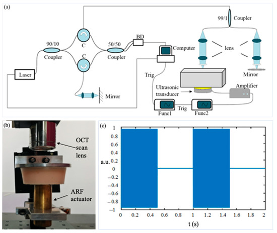 Real-Time Nondestructive Viscosity Measurement of Soft Tissue Based on ...