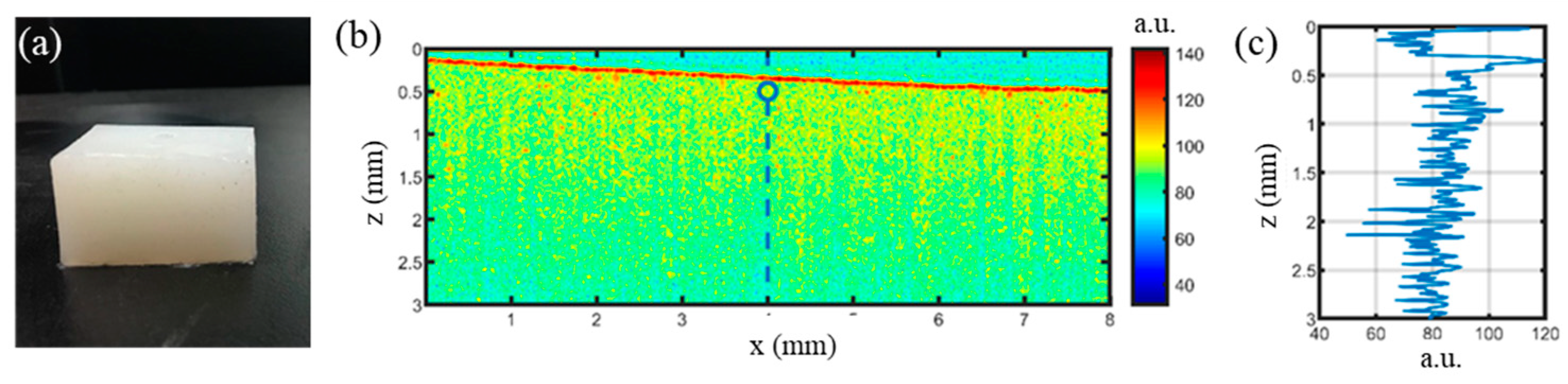 Real-Time Nondestructive Viscosity Measurement of Soft Tissue Based on ...
