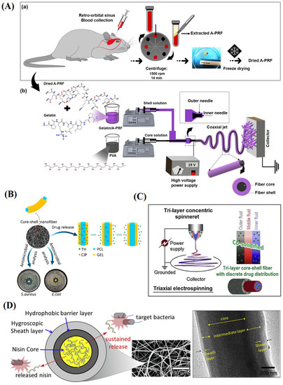 Materials | Free Full-Text | Electrospun Nanofiber Membranes with Various Structures for Wound ...
