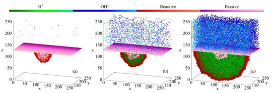 Cellular Automata Modeling as a Tool in Corrosion Management