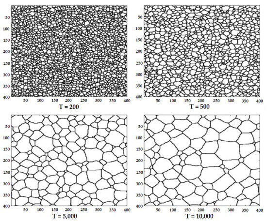 Cellular Automata Modeling As A Tool In Corrosion Management