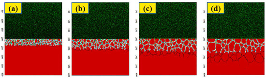 Cellular Automata Modeling as a Tool in Corrosion Management