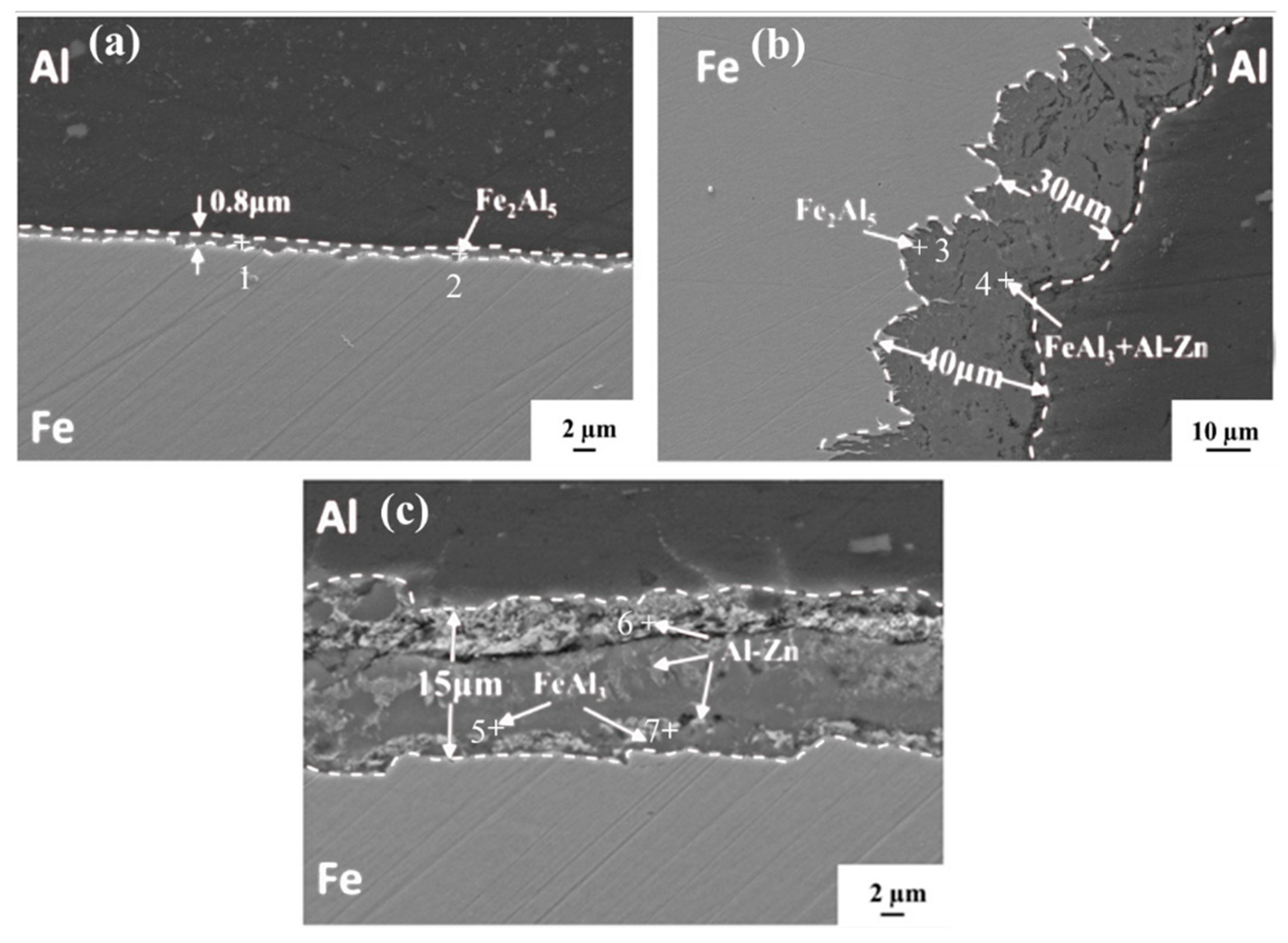 Formation and Evolution Mechanism of Intermetallic Compounds of ...