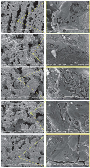 The Influence of Ultrasonic Activation on Microstructure, Phase Transformation and Mechanical ...