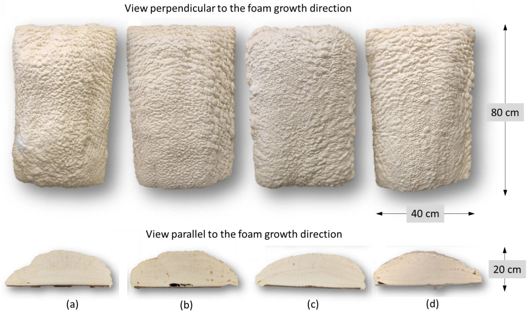 From Bioresources to Thermal Insulation Materials: Synthesis and ...