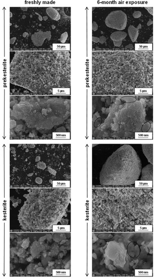Long-Term Oxidation Susceptibility in Ambient Air of the Semiconductor ...