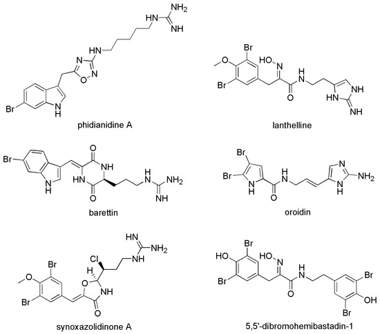 Research Progress of Natural Products and Their Derivatives in Marine ...
