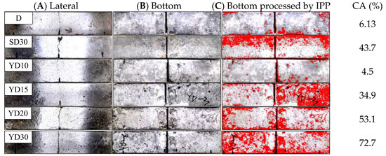 Fracture Behavior of Concrete under Chlorine Salt Attack Exposed to ...