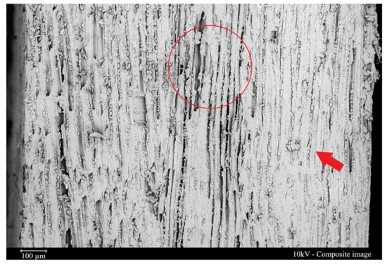 Wood-Poly(furfuryl Alcohol) Prepreg: A Novel, Ecofriendly Laminate ...