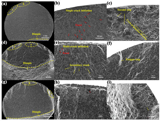 The Low-Cycle Fatigue Behavior, Microstructure Evolution, and Life ...