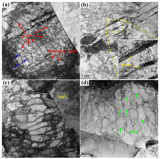 The Low-Cycle Fatigue Behavior, Microstructure Evolution, and Life ...