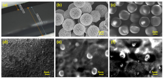 Piezoresistive Effect of Conductive and Non-Conductive Fillers in Bi ...