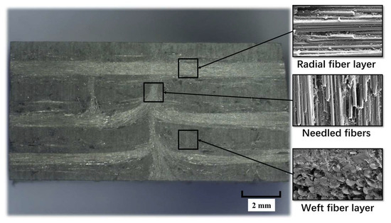 Comparative Study on Micro-Grinding Performance of 2.5D Cf/SiCs, 2.5D SiCf/SiCs, and SiC Ceramics