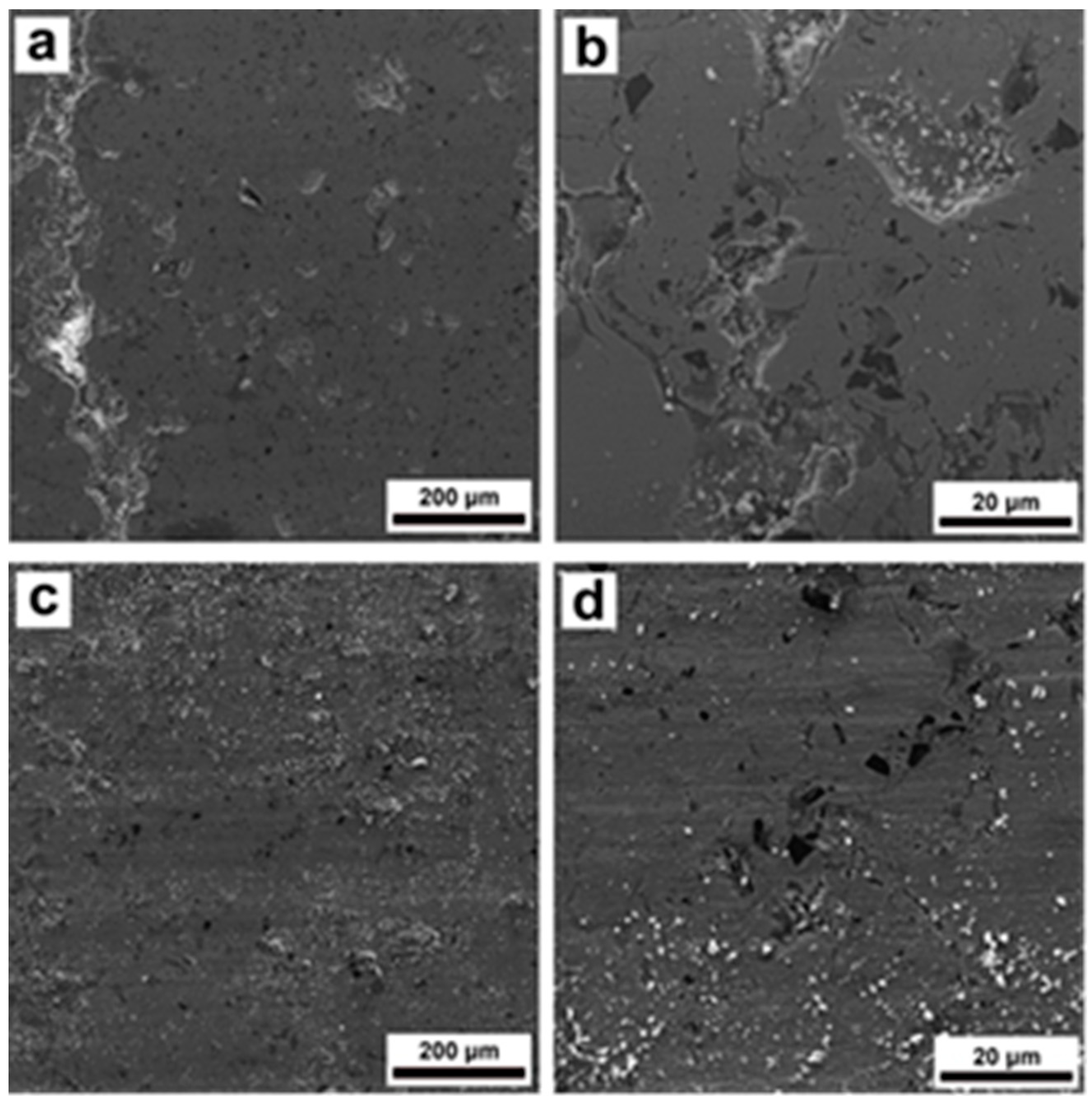 Microstructural and Tribological Characteristics of Composites Obtained ...